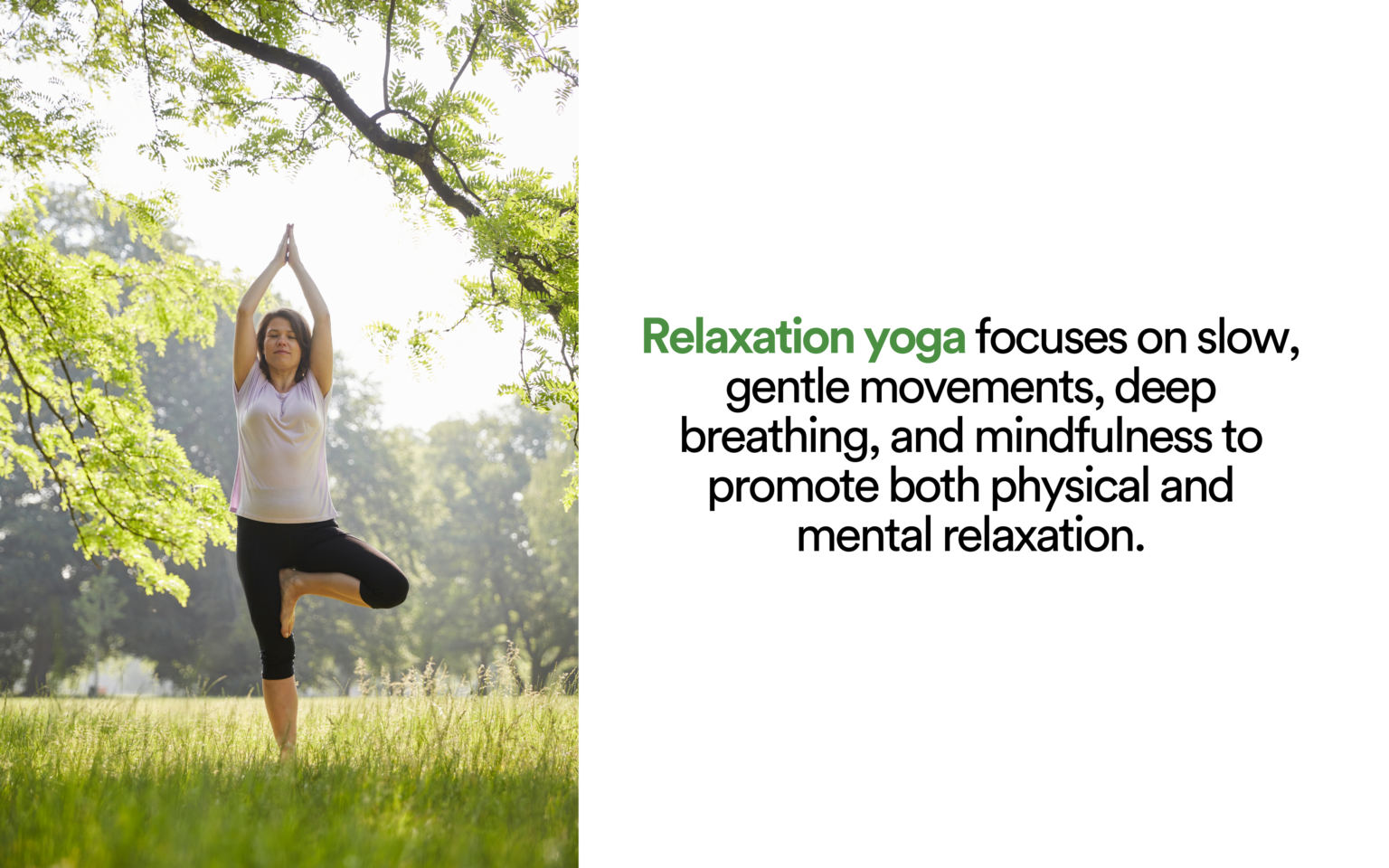 A Beginner’s Guide to Relaxation Yoga: Finding Your Calm in a Busy ...